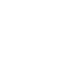Vehicle Visuals